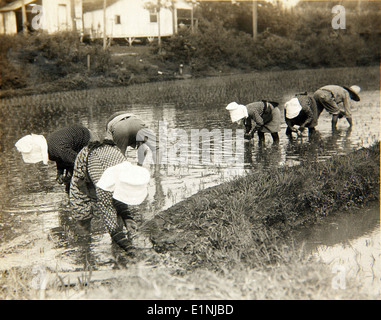 This image from the Karle Criss Special Collection shows a .45 ACP Colt ...