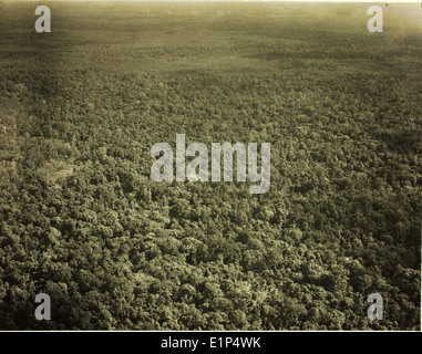 The 1935 Archbold Expedition featured a Model 28 aircraft, which, along ...