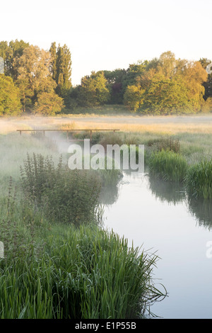 Morning on the river early morning reeds mist fog and water surface on ...