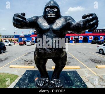 Hamer, South Carolina, USA. 08th June, 2014. View of South of the ...