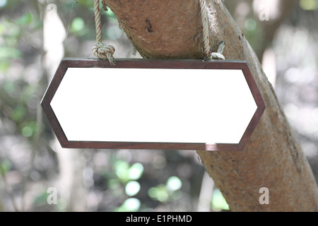 Wooden sign hanging on the mangroves Stock Photo - Alamy