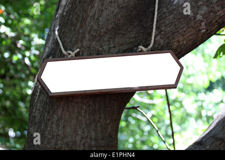 Wooden sign hanging on the mangroves Stock Photo - Alamy