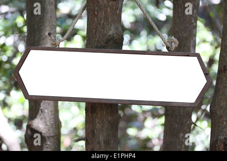 Wooden sign hanging on the mangroves Stock Photo - Alamy