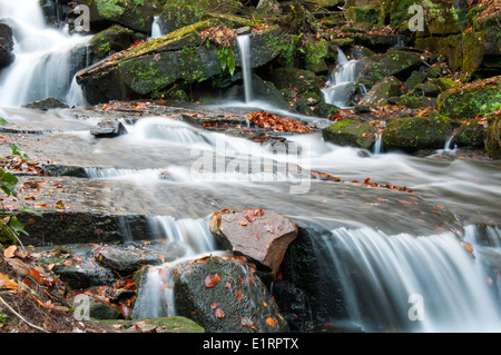 Autumn at Lumsdale Falls, near Matlock in the Peak District Derbyshire ...