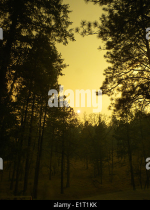 The image captures the aftermath of the 2011 Wallow Fire in the Apache ...