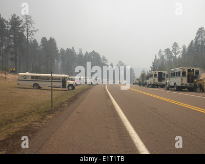 A photo taken in the Apache-Sitgreaves National Forest during the 2011 ...