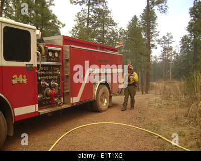 The Wallow Fire, which occurred in the Apache-Sitgreaves National ...