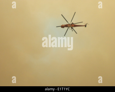 A view of the aftermath of the Wallow Fire in 2011, taken along Highway ...