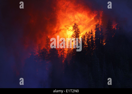 The Wallow Fire, one of Arizona's largest wildfires, occurred near ...