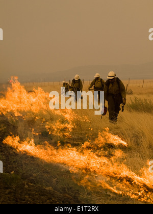 This photo captures the aftermath of the Wallow Fire in 2011 in Apache ...