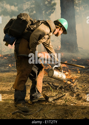 The Wallow Fire in the Apache-Sitgreaves National Forest, Arizona, was ...