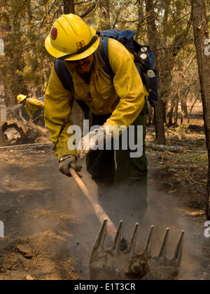 This image from Apache-Sitgreaves National Forest in Arizona shows the ...