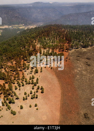 A photograph from the Apache Sitgreaves National Forest in Arizona ...