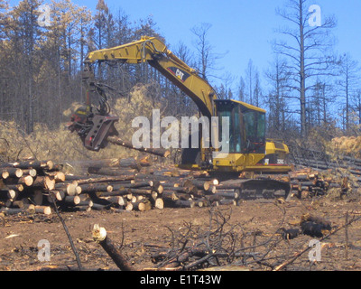 A processor is used to de-limb and cut hazard trees into smaller pieces ...