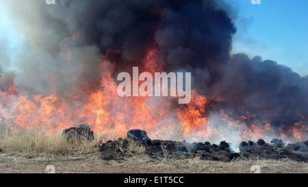 The Lakeside Ranger District conducted a controlled broadcast burn at ...