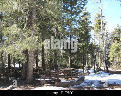 Big Lake campground Stock Photo - Alamy