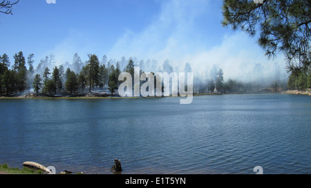 The Woods Canyon Fire in Apache-Sitgreaves National Forests was a major ...