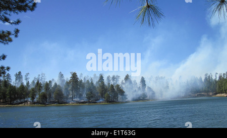 The Woods Canyon Fire in Apache-Sitgreaves National Forests was a ...