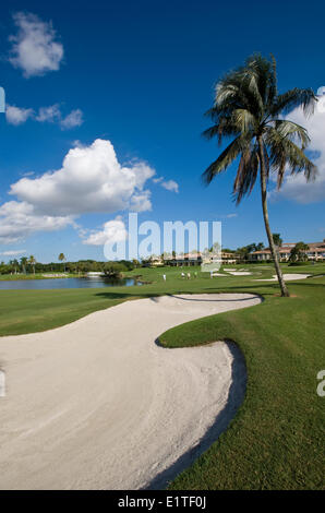 Doral, Blue Monster golf course, Miami, Florida, USA Stock Photo - Alamy