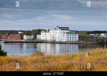 The historic Newfoundland town of Trinity on Trinity Bay near the north ...