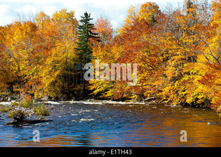 Margaree River in fall, Margaree Valley, Cape Breton, Nova Scotia ...