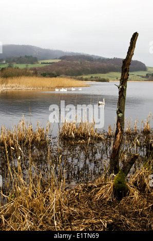 Winter at Lochore in Fife, Scotland Stock Photo - Alamy