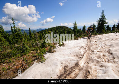 Mountain biking along the Seven Summits trail in Rossland. Kootenay ...