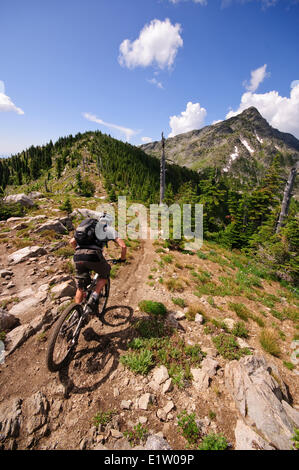 Mountain biking along the Seven Summits trail in Rossland. Kootenay ...