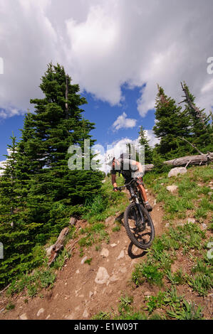 Mountain biking along the Seven Summits trail in Rossland. Kootenay ...