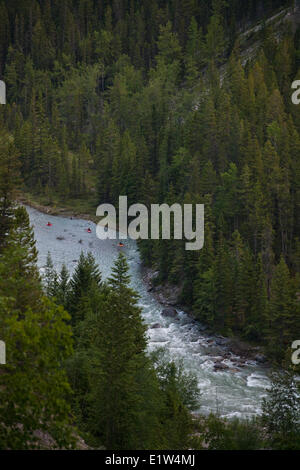 Kayaking top view. Group of kayaks rowing. Kayaks float on the river ...