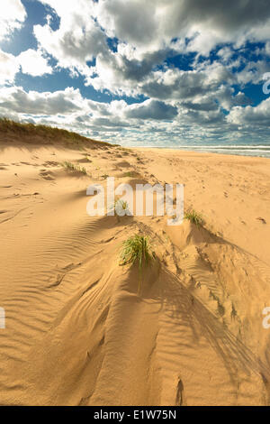 Sand Dune, Blooming Point Beach, Prince Edward Island National Park ...