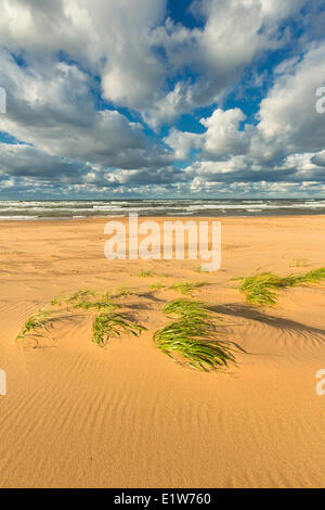 Blooming Point Beach, Prince Edward Island, Canada Stock Photo - Alamy