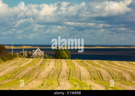 Farm, Springbrook, Prince Edward Island, Canada Stock Photo - Alamy
