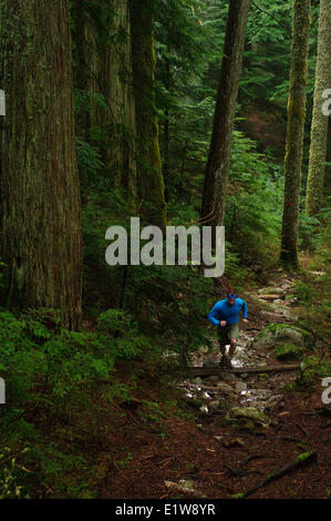 Trail running on the Brothers Creek Loop. Hollyburn Mountain. West ...