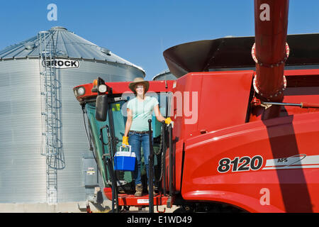 A YOUNG FEMALE FARMER IN COMBINE CAB HARVESTING WHEAT ON THE FAMILY ...