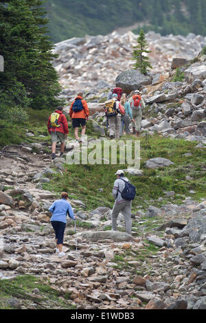 Hikers on the Cavell Meadows Trail with Mount Edith Cavell and the ...