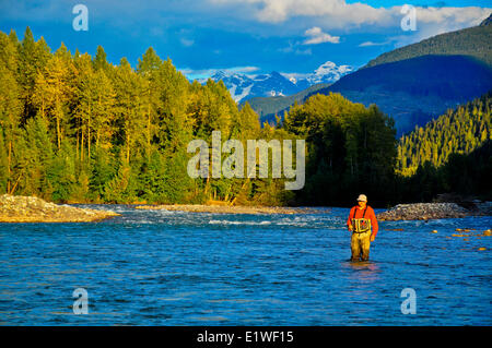 Copper River British Columbia Steelhead Fishing Stock Photo - Alamy