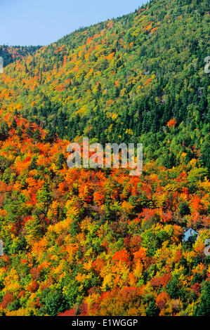 Meat Cove in Cape Breton - Nova Scotia - Canada Stock Photo - Alamy