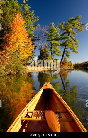 Fall Color in Muskoka Stock Photo - Alamy