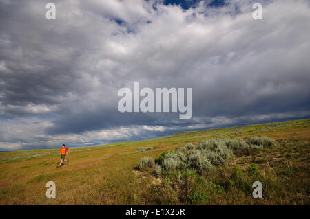 Man trail running near Ten Sleep, Wyoming. USA Stock Photo - Alamy