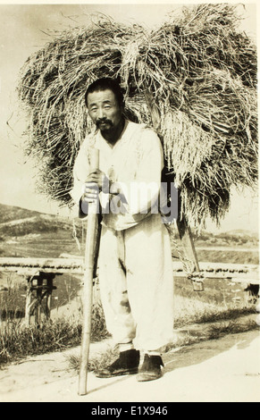 The Bob Bower donation includes aviation artifacts from 1941-1945 ...