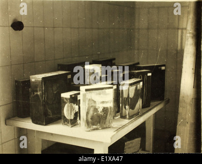 The Holocaust, occurring between 1941-1945 during World War II, was a ...
