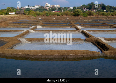 Salt evaporation ponds in India salterns or salt pans collecting salt ...