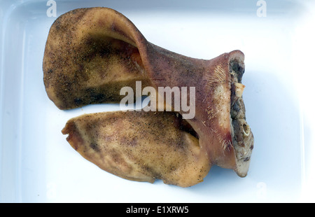 Pig's ear delicacy eating dish pork cooking cook Stock Photo - Alamy