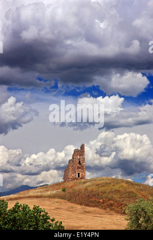At the archaeological site of Ancient Olynthos (Olynthus), Polygyros ...