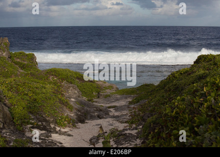 Anatakitaki Cave Atiu Cook Islands Stock Photo - Alamy