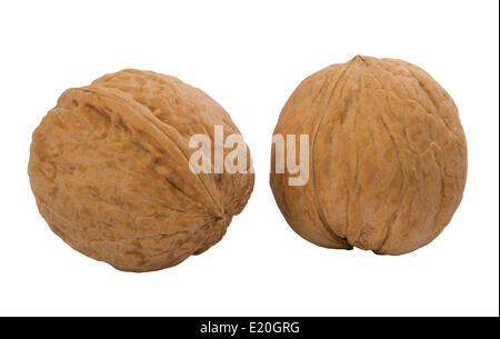Two whole walnuts Stock Photo - Alamy