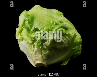 Close-up of whole iceberg lettuce on white background Stock Photo - Alamy