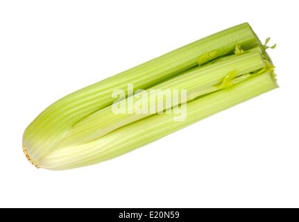 celery isolated on white background. top view Stock Photo - Alamy