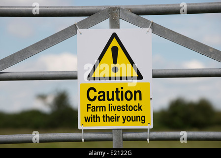 Farm gate warning notice Livestock and young animals in field Stock ...